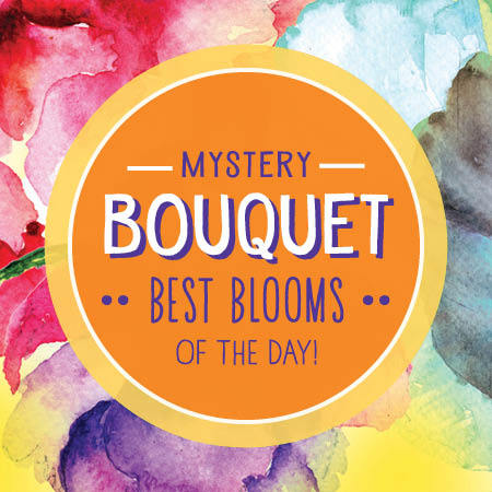 Spring Mystery Bouquet - Florist`s Choice - MySweetBlossom.com